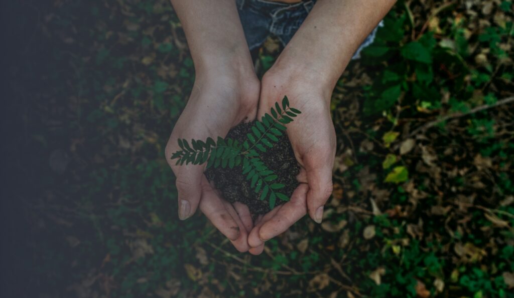 Sustainability and Social Responsibility at COCUS